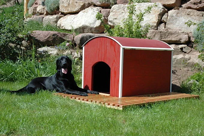 Samodzielne wykonanie budy dla psa | Projekt budowy budy dla psa